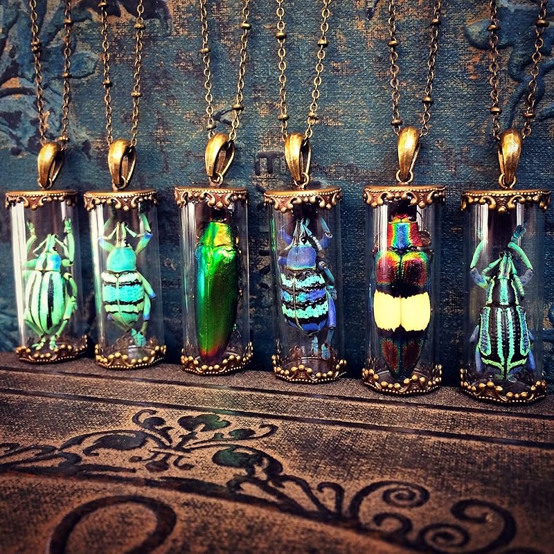 Amazon.com: Real bug necklace Real beetle necklace Taxidermy beetle ...