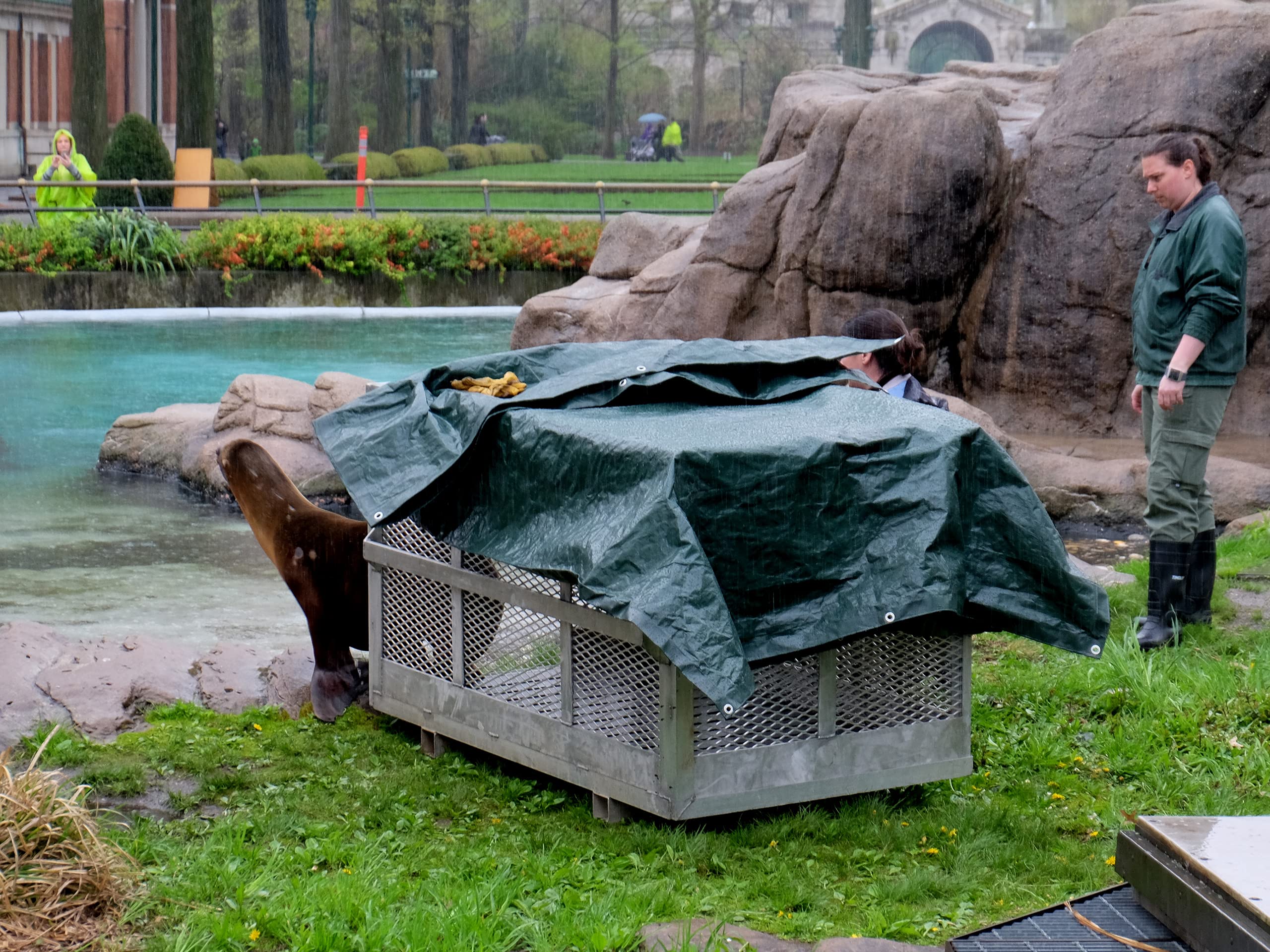 Watch The Zoo - Season 4 | Prime Video