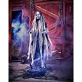 Amazon.com: Spirit Halloween 5 Ft Creepy Rising Doll Animatronic ...
