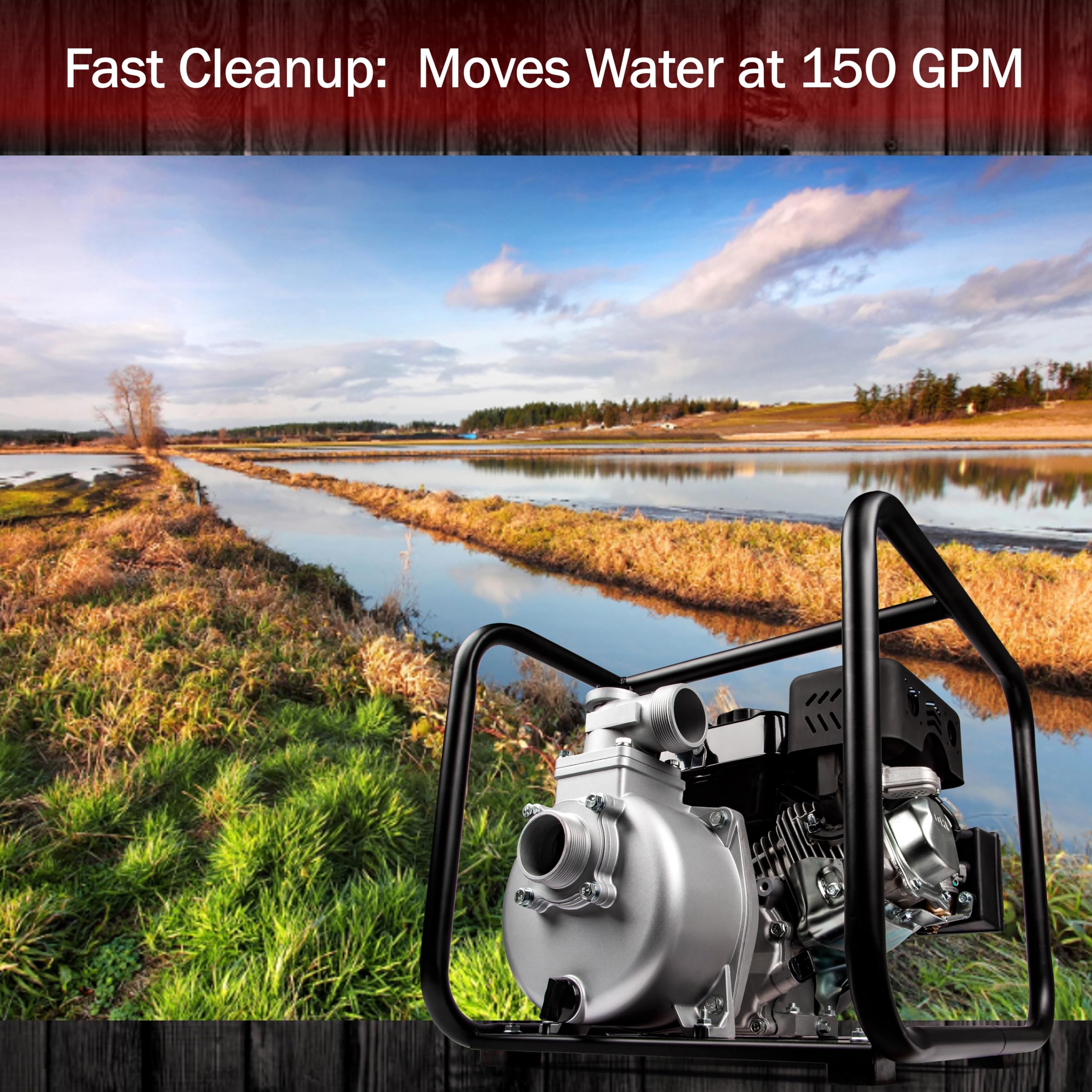 Mua Red Lion 6RLAG-2LST 208cc, 150 GPM OHV Engine Driven Aluminum Semi ...