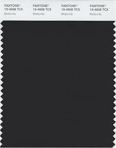 Amazon.com: Pantone 19-4008 TCX Smart Color Swatch Card, Meteorite ...