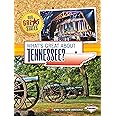 What's Great about Tennessee? (Our Great States): Fretland VanVoorst ...