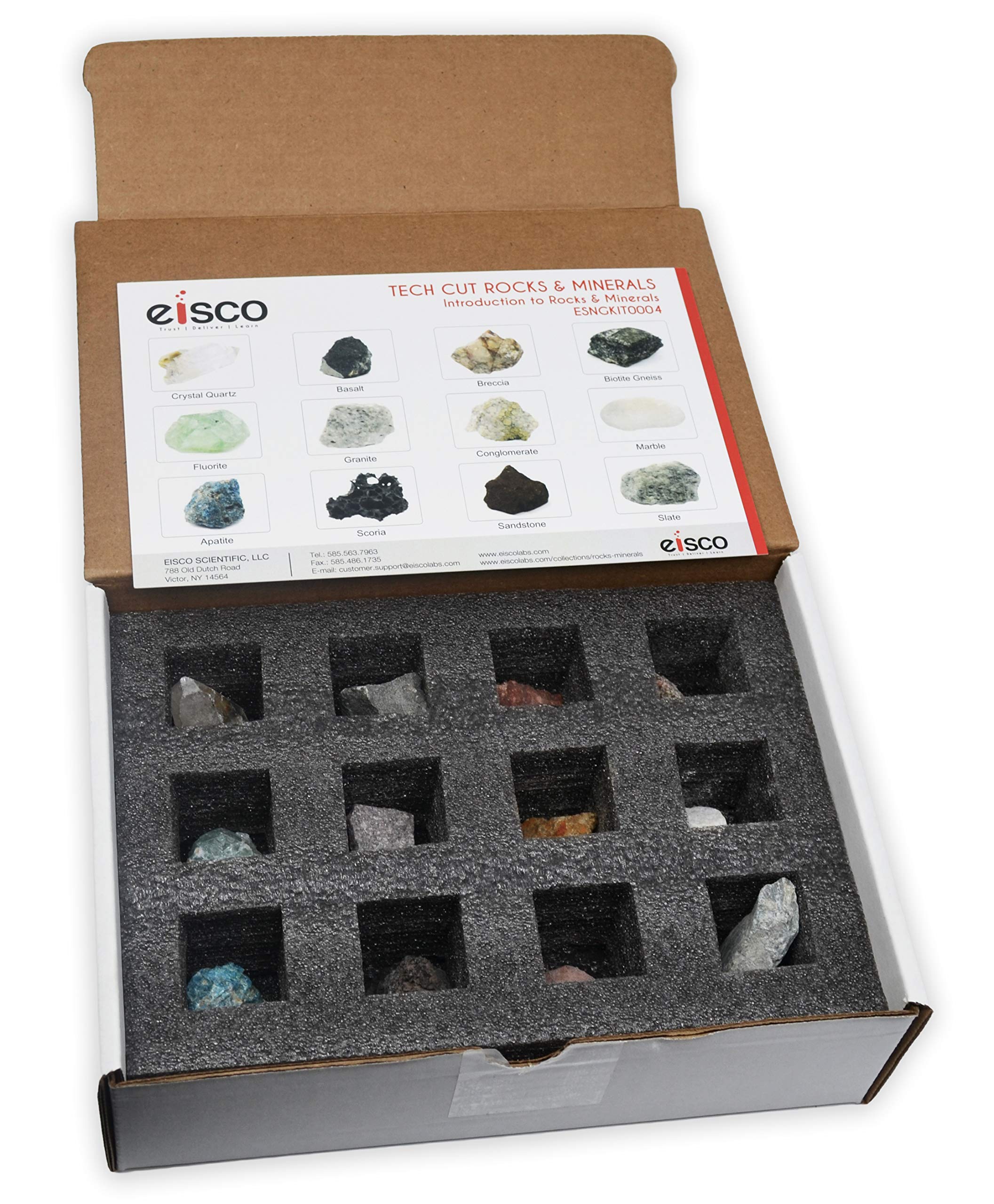 Mua EISCO Rock & Mineral Kit, 12 Pieces - includes Metamorphic, Igneous ...