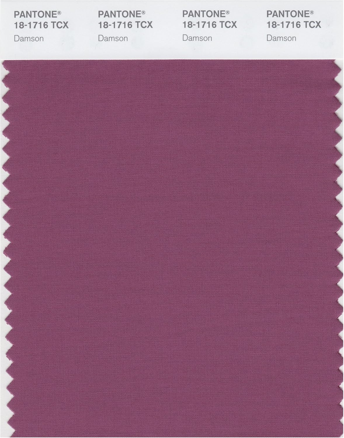 PANTONE Smart 18-1716X Color Swatch Card, Damson - House Paint - Amazon.com