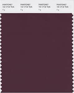 PANTONE Smart 19-1718X Color Swatch Card, Fig - House Paint - Amazon.com