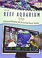 Amazon.com: SALTWATER FISH AQUARIUM DVD! Set-up, Aquascape ...