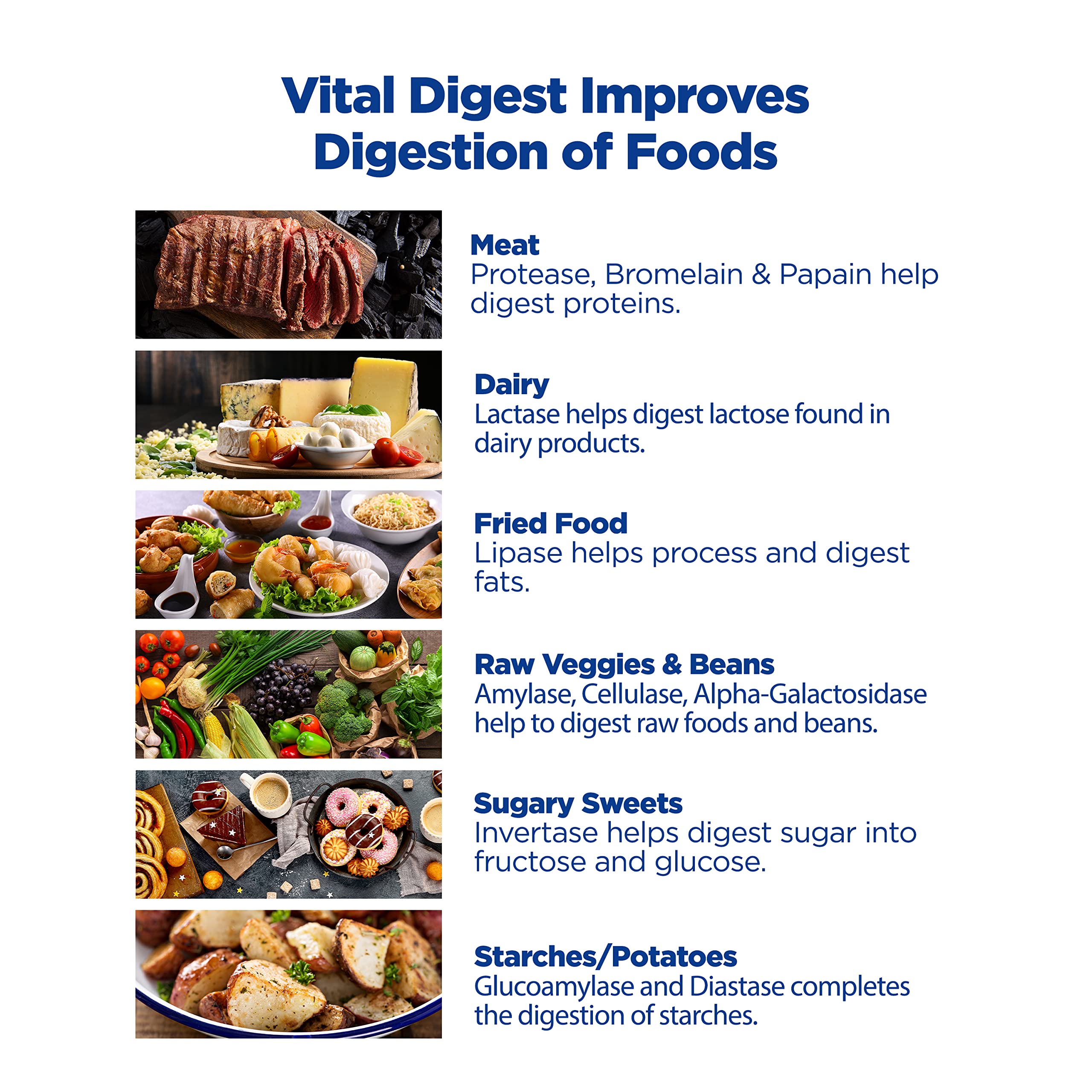 Mua Vital Planet – Vital Digest Natural Digestive Enzyme Supports The ...