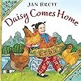 Daisy Comes Home: Brett, Jan, Brett, Jan: 9780399236181: Amazon.com: Books