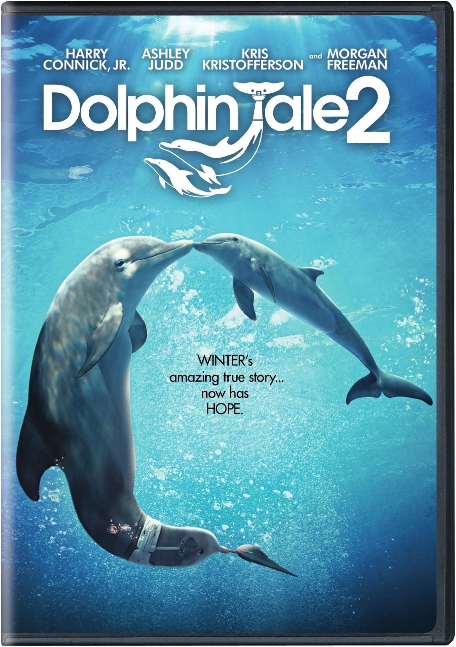 Dolphin Tale 2 (DVD) | Pricepulse