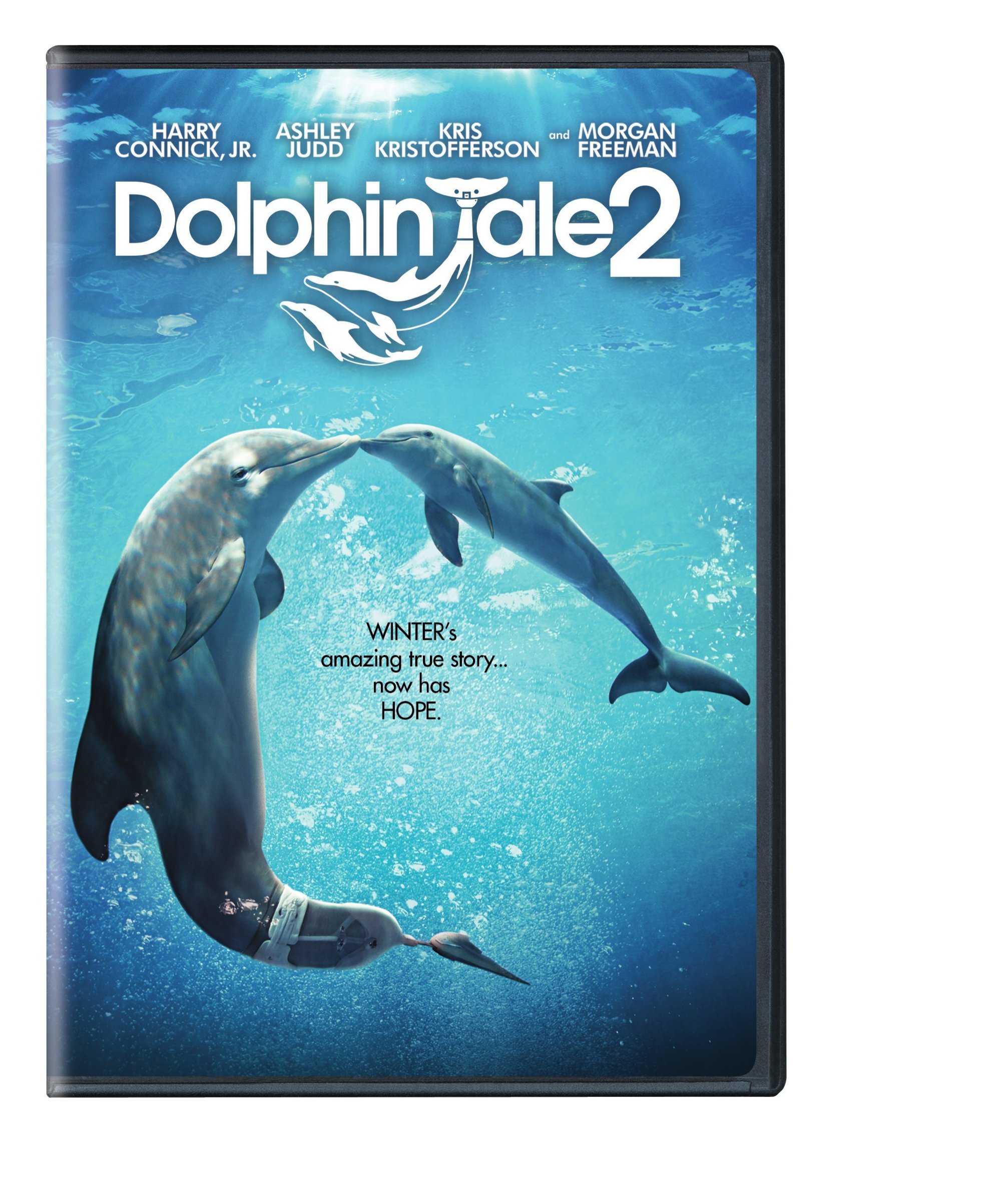 Dolphin Tale 2 (DVD) | Pricepulse