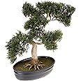 Amazon.com: Nearly Natural 4106 16in. Cedar Bonsai Silk Plant,Green ...