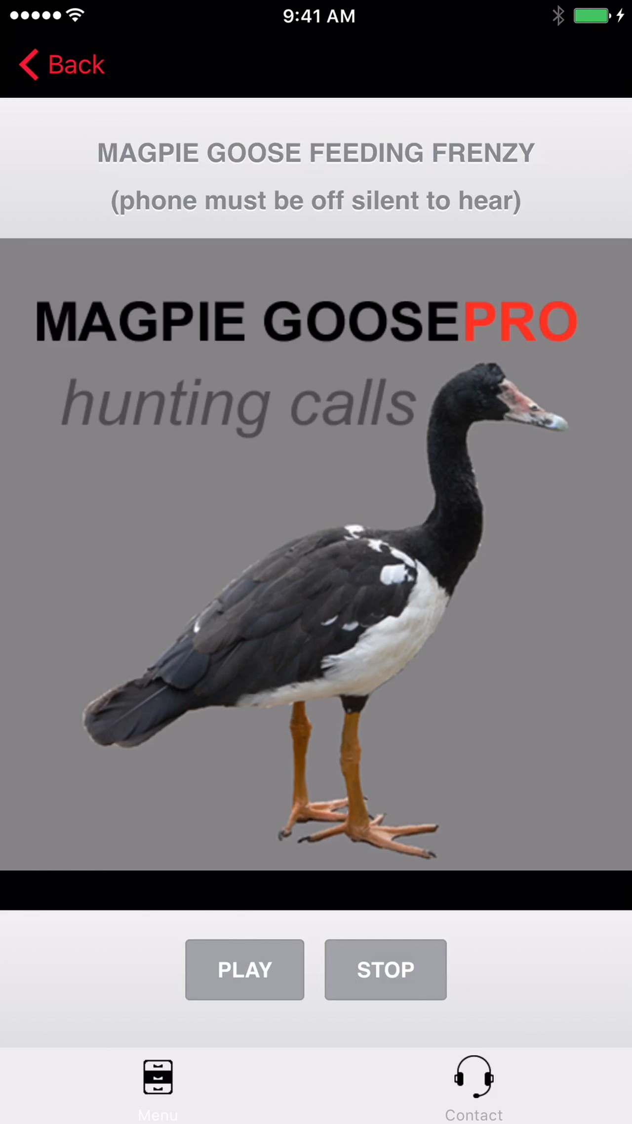 REAL Magpie Goose Calls - Hunting Calls for Magpie Geese - BLUETOOTH ...