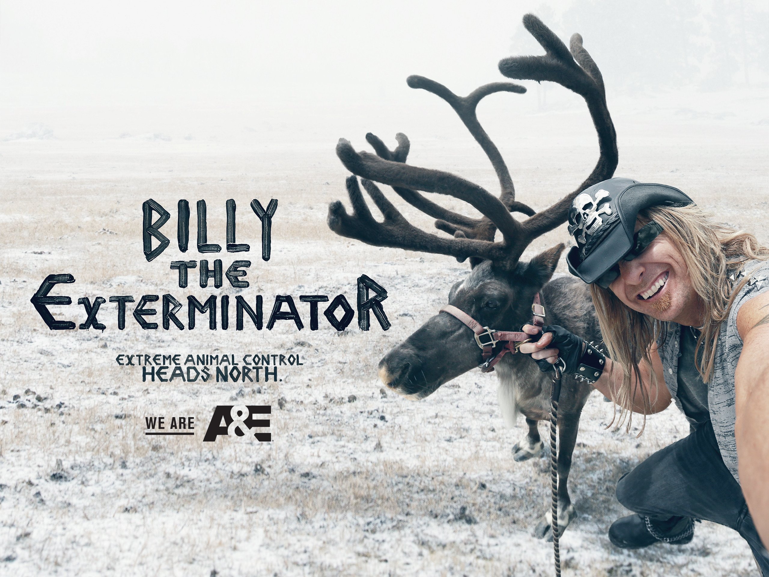 Watch Billy the Exterminator Season 7 | Prime Video