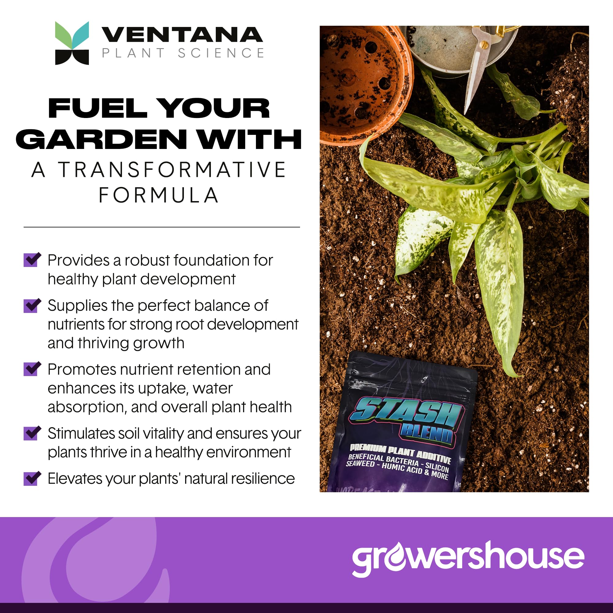 Mua Stash Blend Premium Plant Additive Root Hormone for Plants - with ...