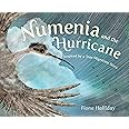 Amazon.com: Numenia and the Hurricane: Inspired by a True Migration ...