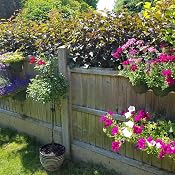 Wonderwall Self Watering Vertical 3 Pocket Garden Wall Planter Outdoor ...