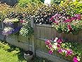 Wonderwall Self Watering Vertical 3 Pocket Garden Wall Planter Outdoor ...