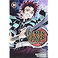 Amazon.com: Demon Slayer: Kimetsu no Yaiba, Vol. 11 (11): 9781974706488 ...