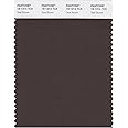 PANTONE Smart 19-1314X Color Swatch Card, Seal Brown - House Paint ...