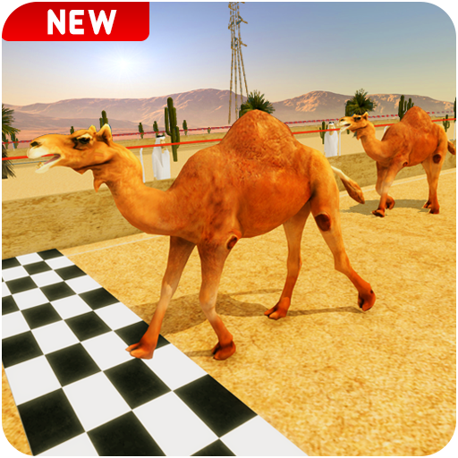 Crazy Camel Racing Fever 3D: Desert Camel Race Adventure Simulator ...
