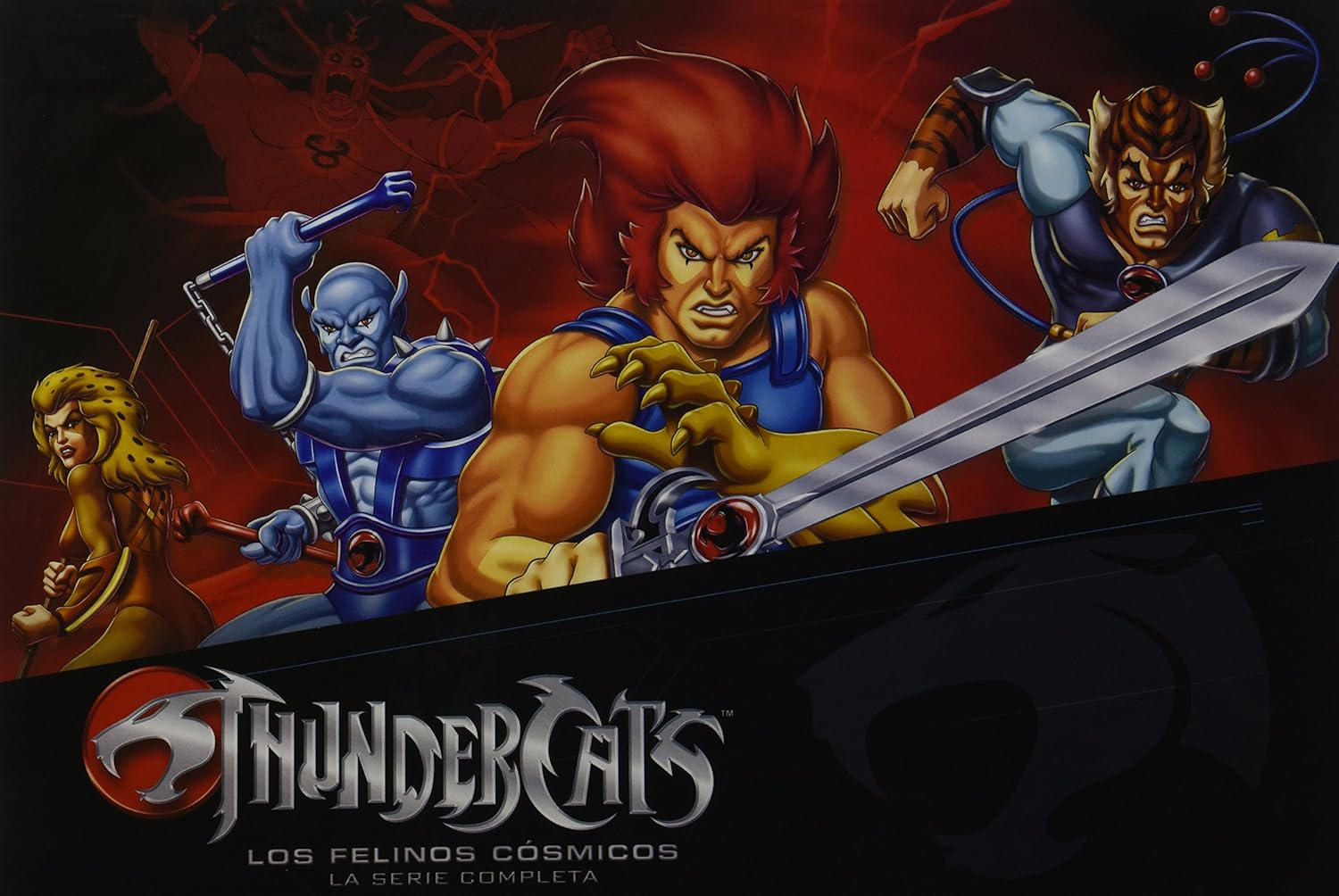 Thundercats Los Felinos Cosmicos La Serie Completa 24 Dvd`s Region 1 ...