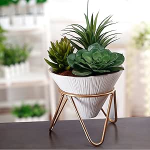 Amazon.com : Modern Cone-Shaped White Ceramic Indoor Succulent Planter ...