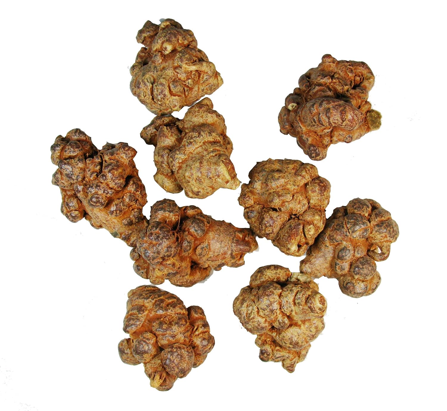 Tian Qi Flower Benefits | Best Flower Site