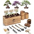 Amazon.com : Avergo Bonsai Tree Kit – 3X Unique Japanese Bonzai Trees ...