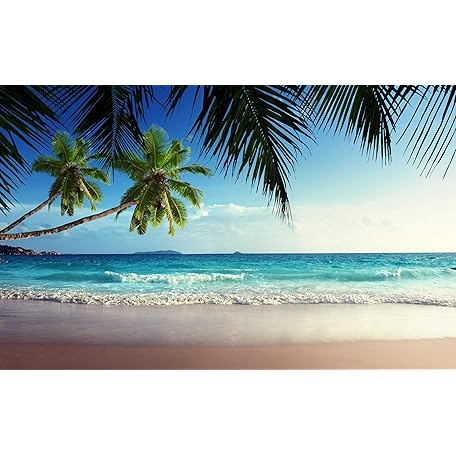 Mua 2023 Geiger Counter, Made in Japan, High Accuracy, Beta-ray/Gamma ...