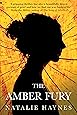The Amber Fury: Amazon.co.uk: Natalie Haynes: 9781782392750: Books