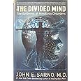 The Divided Mind: The Epidemic of Mindbody Disorders: Sarno, John E ...