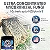 Plant Success Great White Mycorrhizal Fungi 9-Strain 387 Spores/gram, 6 ...
