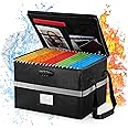Amazon.com: File Box/ fireproof file organizer box with Lock, Fireproof ...
