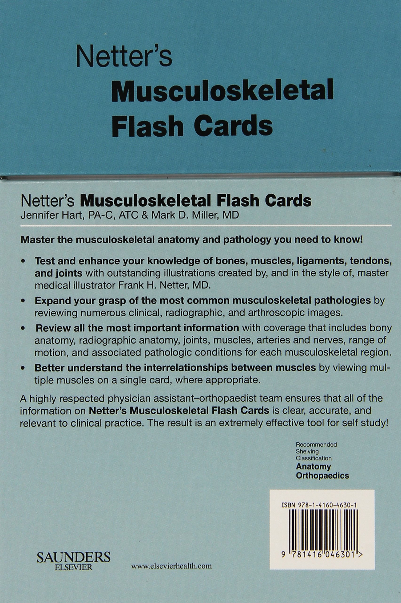 Mua Netter's Musculoskeletal Flash Cards (Netter Basic Science) trên ...