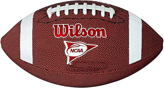 Amazon.com : Wilson Ncaa Red Zone Junior Composite Football : Sports ...
