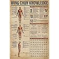 Amazon.com: Wing Chun Knowledge Metal Tin Sign 5 Basic Principles Of Wing Chun Retro Funny ...