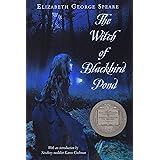 The Witch of Blackbird Pond and Related Readings: Elizabeth George ...