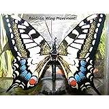 Amazon.com: Active Aliforms Monarch Moving Butterfly : Toys & Games
