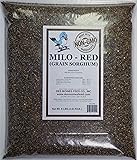 Amazon.com : 5 Lb. Milo Seed Waterfowl Ducks Geese Dove Food Plot Seed ...