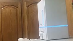 Amazon.com: 1500ml Aroma Essential Oil Diffuser Large - Exqline ...