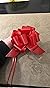 Amazon.com: Red Christmas Gift Pull Bows - 5" Wide, Set of 10 ...