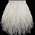 Amazon.com: Soarer White Ostrich Feather Trim - 2Yards 5-7inch Feathers ...