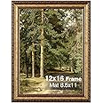 Amazon.com - Splinterix 12x16 Gold Picture Frame, Ornate Vintage ...