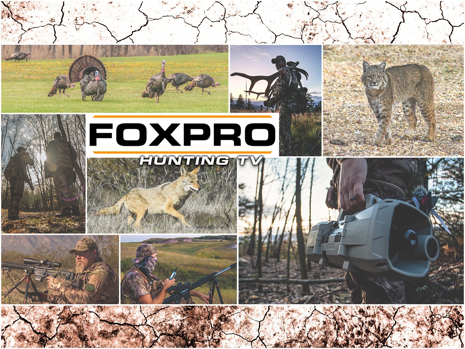 Watch Foxpro Hunting | Prime Video