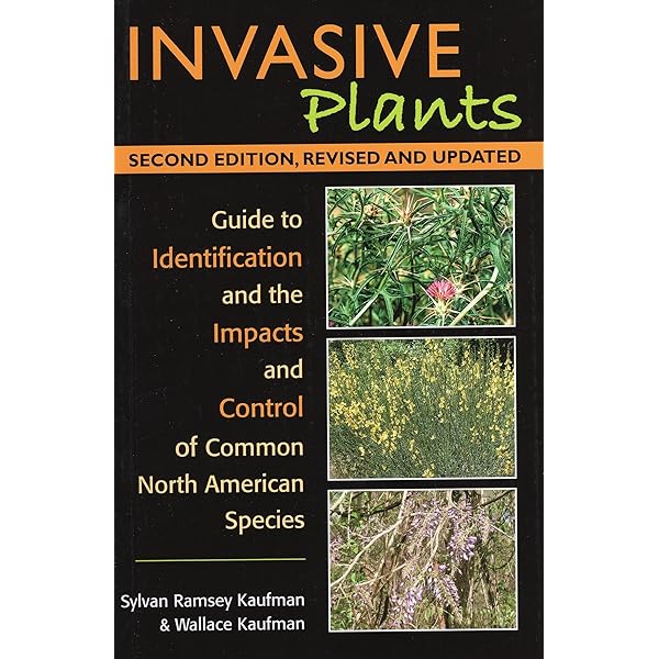 Midwest Invasive Plants