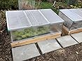 Amazon.com : Exaco BioStar 1500 Premium Cold Frame Gardening Tool, Pack of 1, Clear : Greenhouse ...