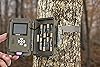 Bushnell 119877 24MP Trophy Cam HD No Glow Trail Camera with Color ...