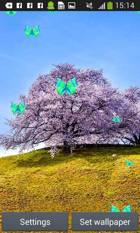 Sakura Live Wallpapers:Amazon.de:Appstore for Android