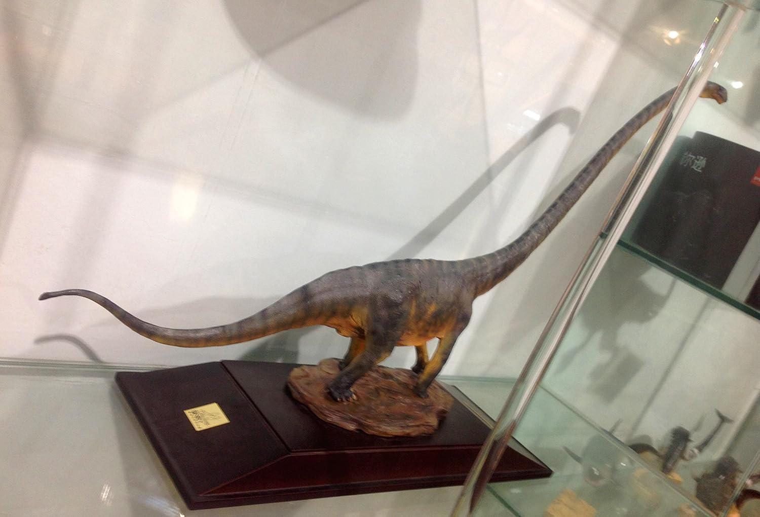 PNSO Dinosaurs 1:10 Mamenchisaurus Hochuanensis Scientific ...