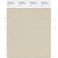 PANTONE Smart 13-0607X Color Swatch Card, Fog - House Paint - Amazon.com
